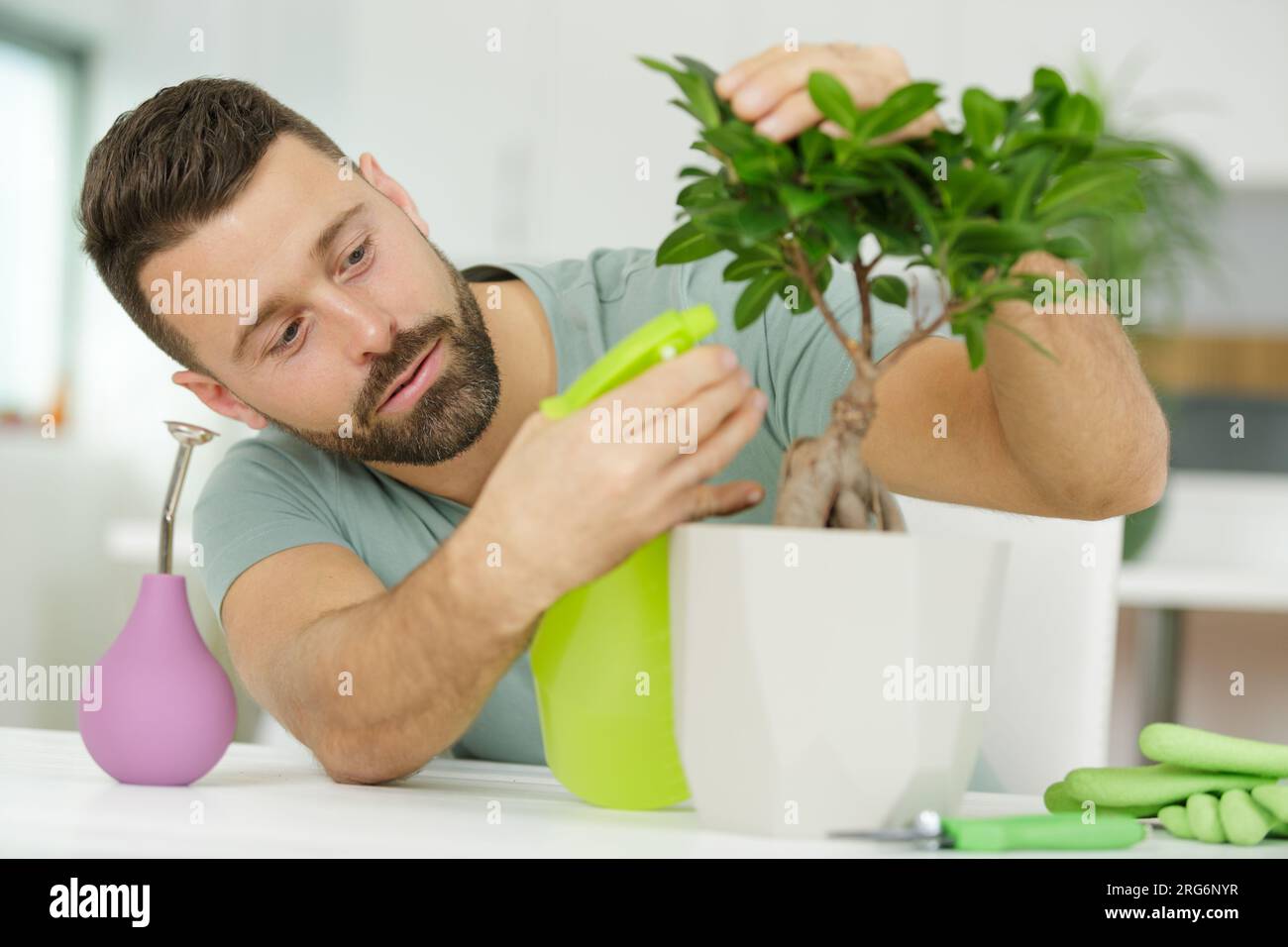 Manual spray hi-res stock photography and images - Alamy