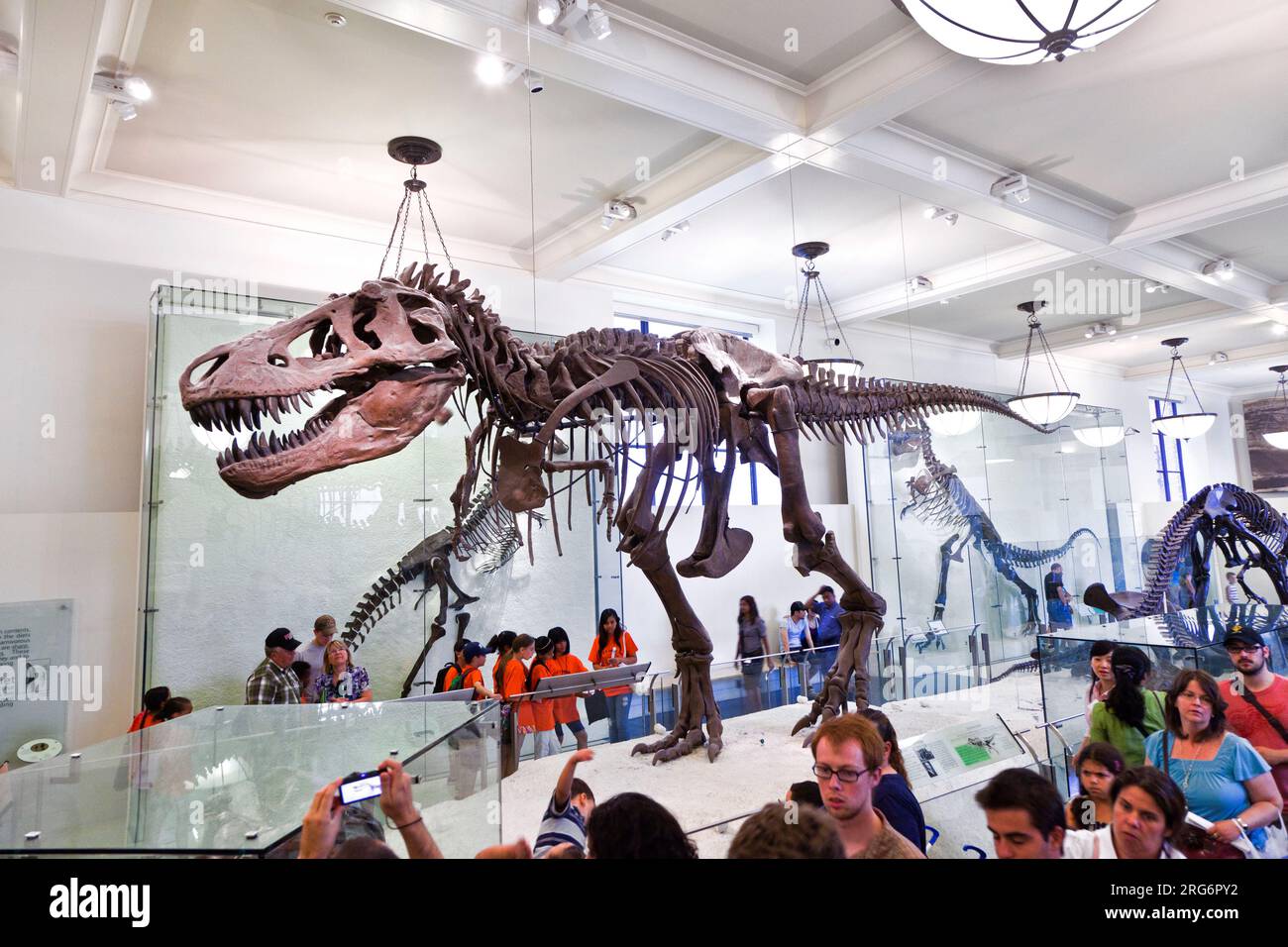 NEW YORK - JULY 8: The American Museum for National History in Newe ...
