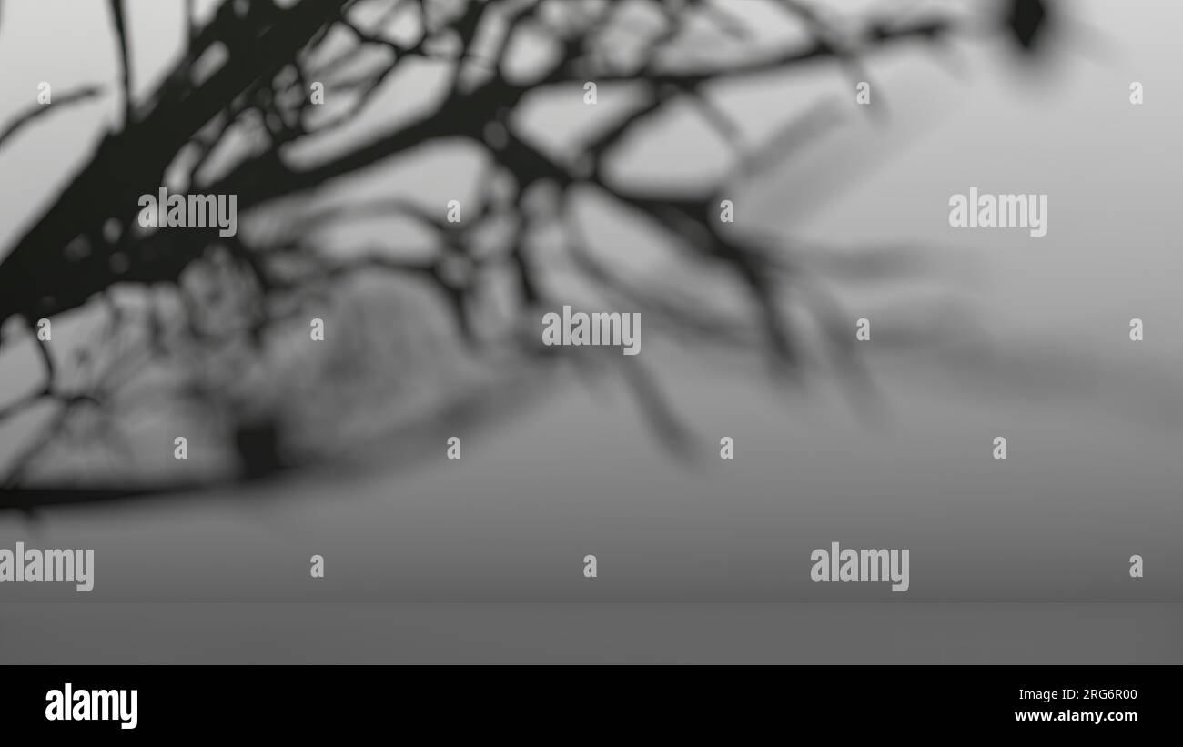 Light and shadow in the room, thick branches and leaves, GOBO light ...