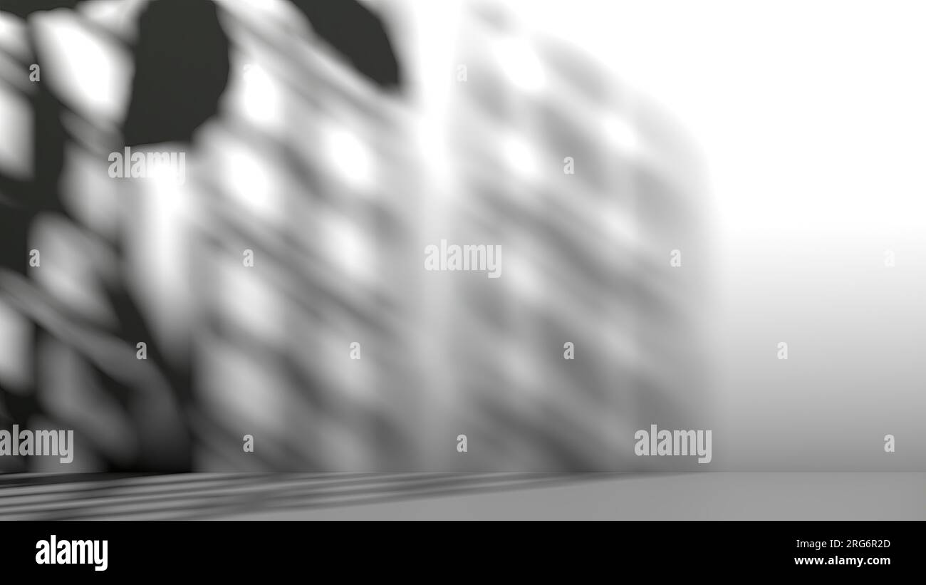 Shadows of leaves with light coming into the room window frames GOBO ...