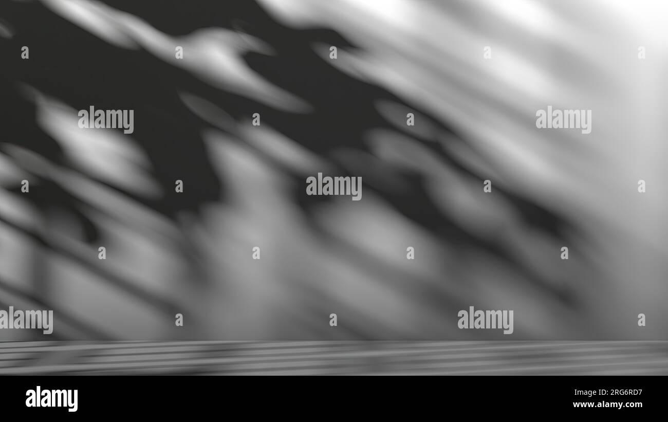 Light and shadow coming into the room, window frame and hanging branch ...