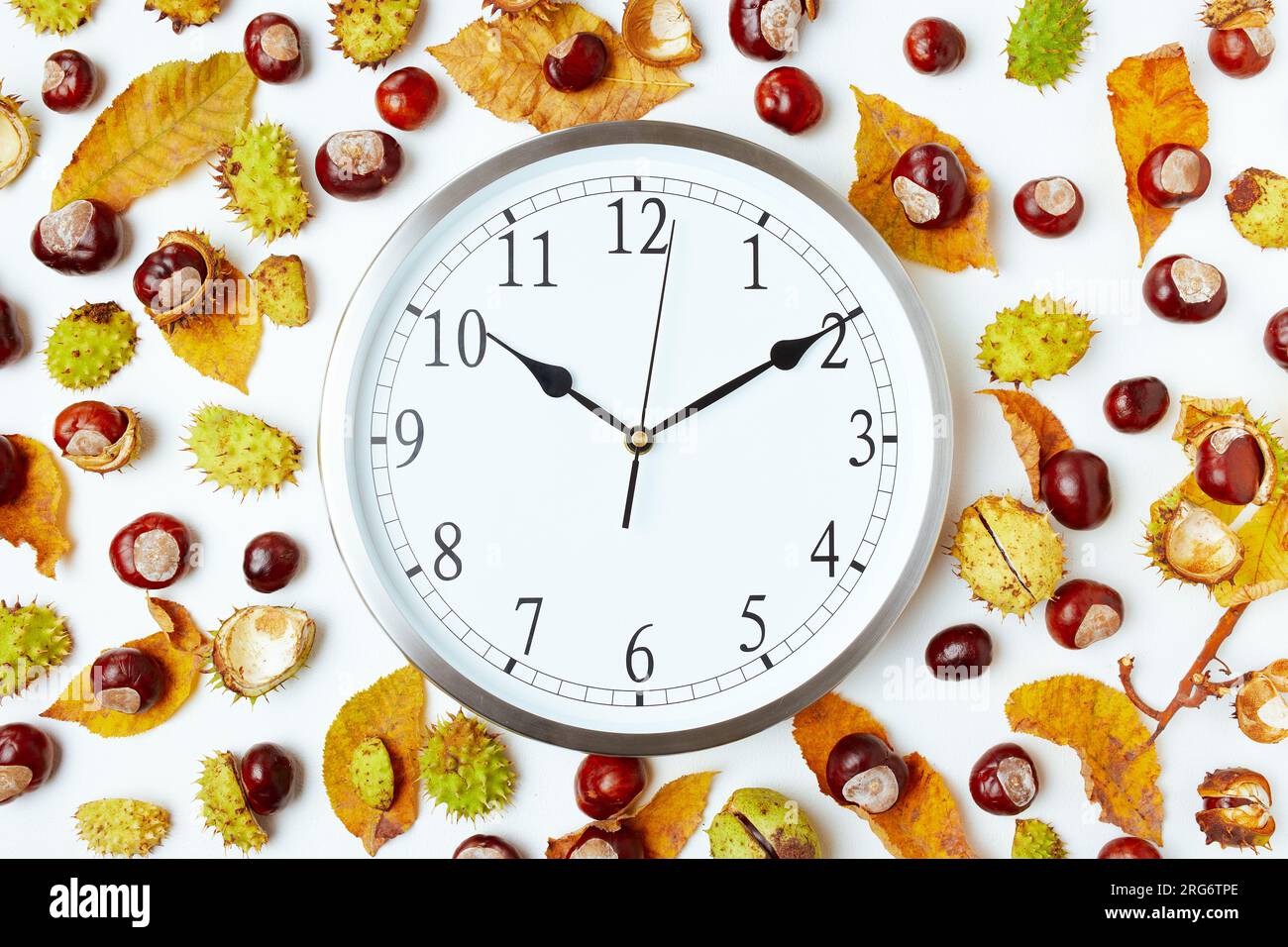 autumn background with autumn leaves, chestnut and clock Stock Photo ...