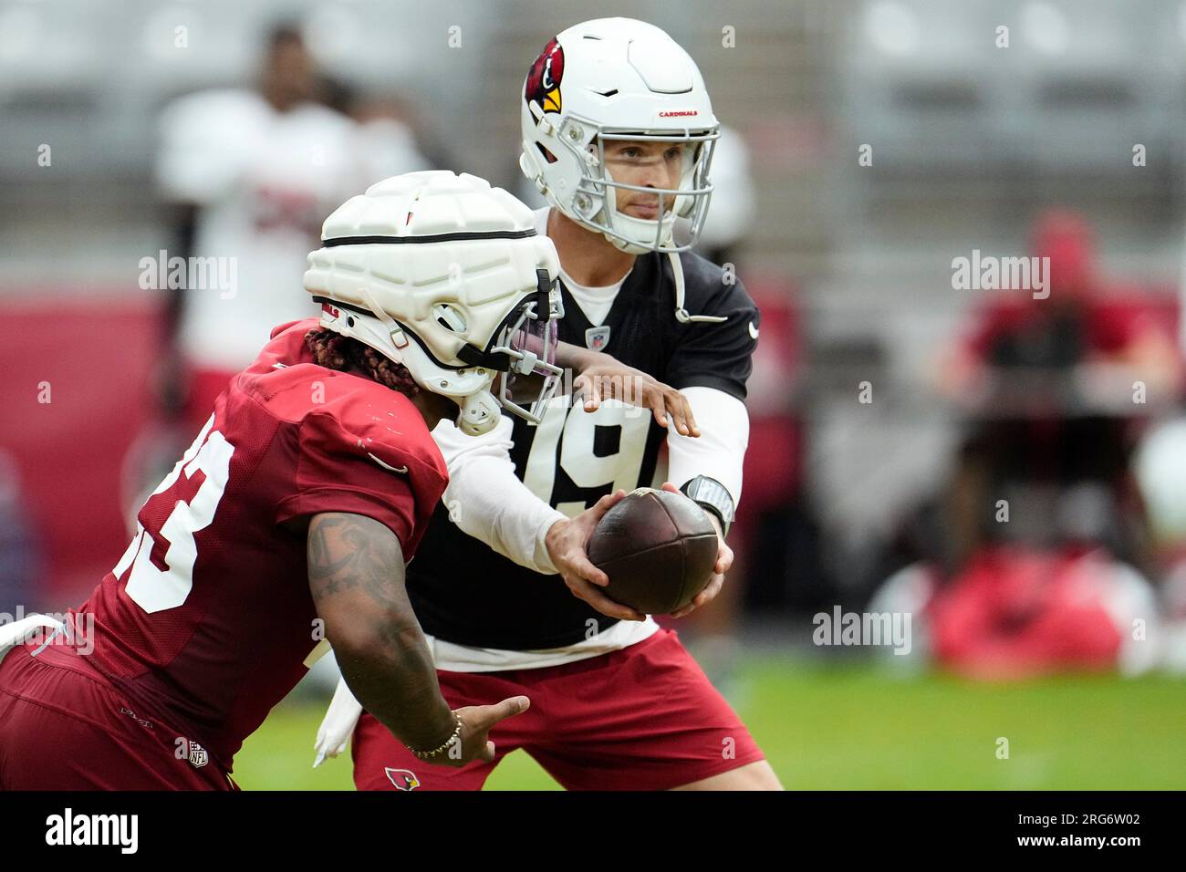 Arizona Cardinals quarterback Jeff Driskel (19) hands the ball off to ...