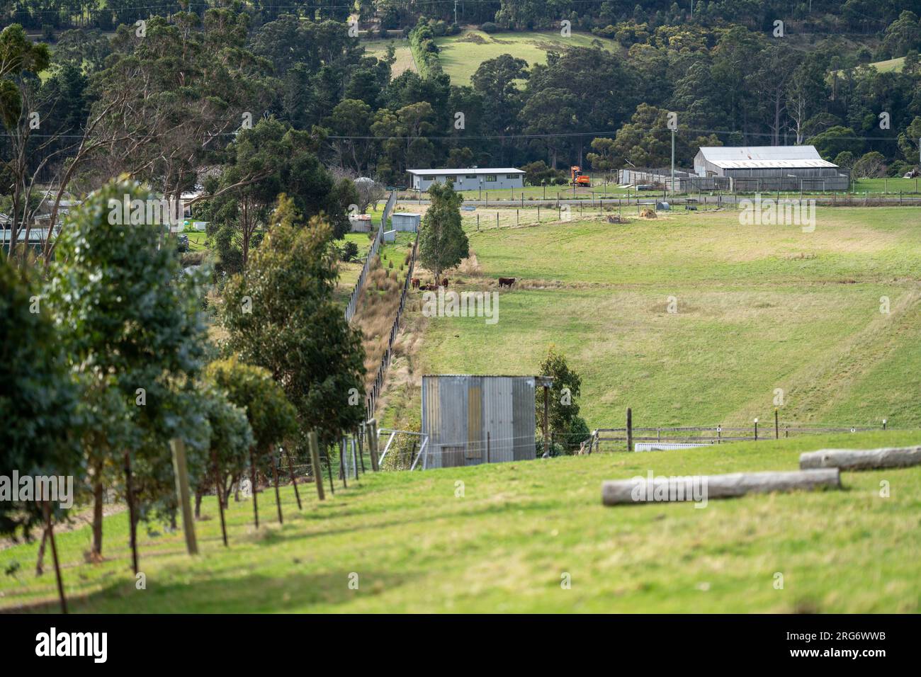 horse farm in the hills in australia Stock Photo - Alamy