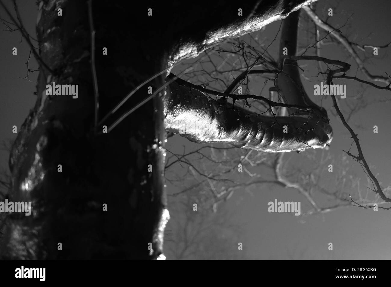 artsy intimate up-close look at nature life with sunrises and sunsets ...