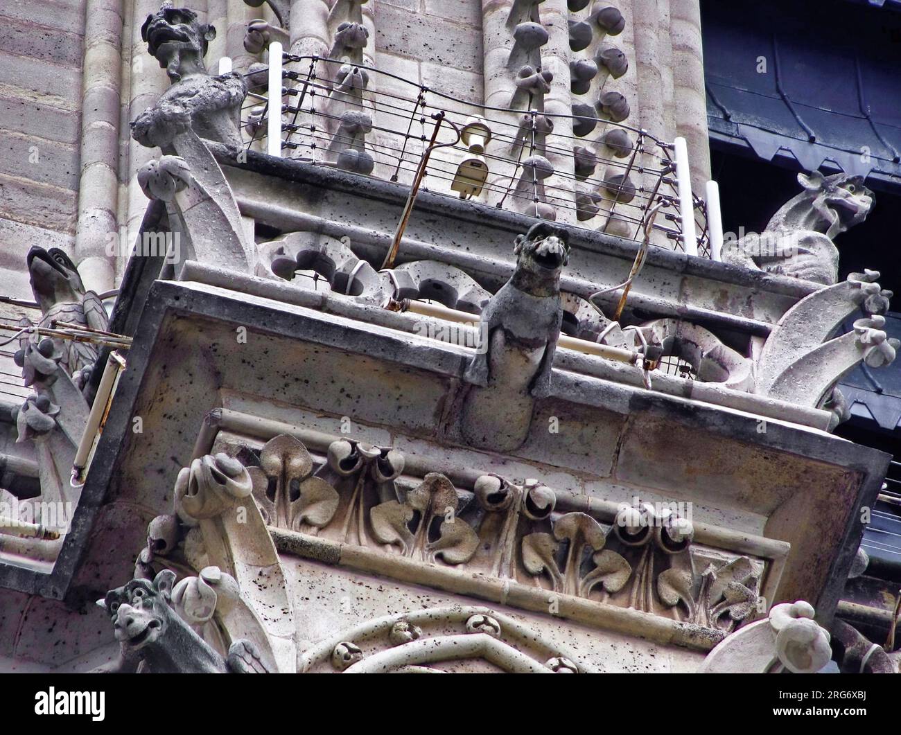 Architectural details of the Notre-Dame cathedral one of the most ...