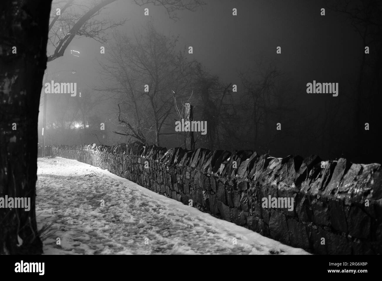 artsy intimate up-close look at nature life with sunrises and sunsets ...