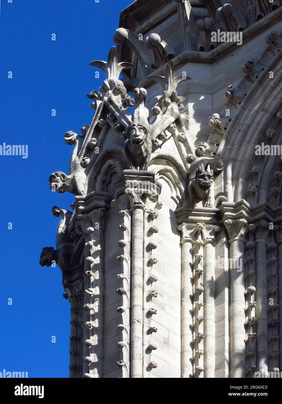Architectural details of the Notre-Dame cathedral one of the most ...