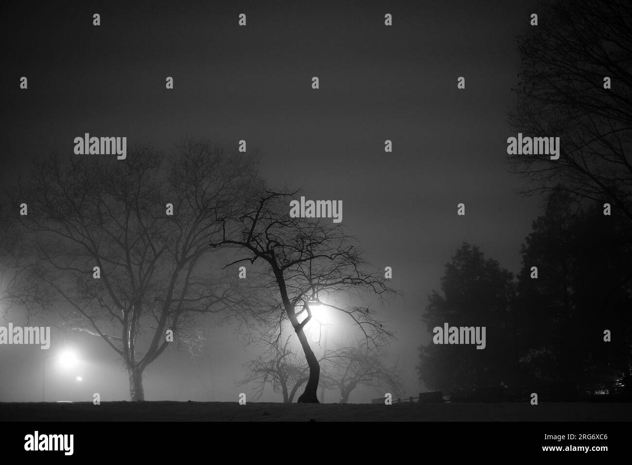 artsy intimate up-close look at nature life with sunrises and sunsets ...