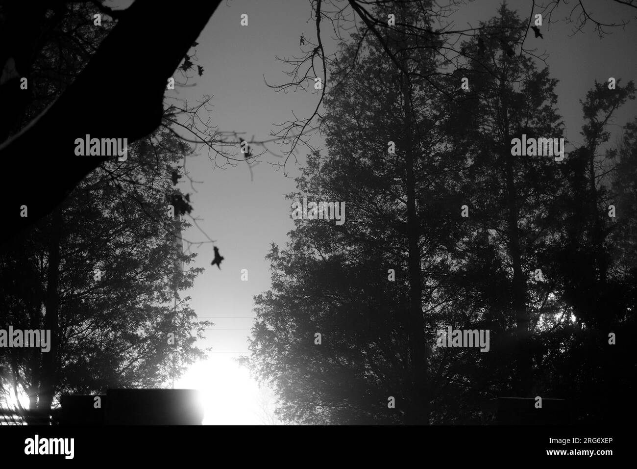 artsy intimate up-close look at nature life with sunrises and sunsets ...