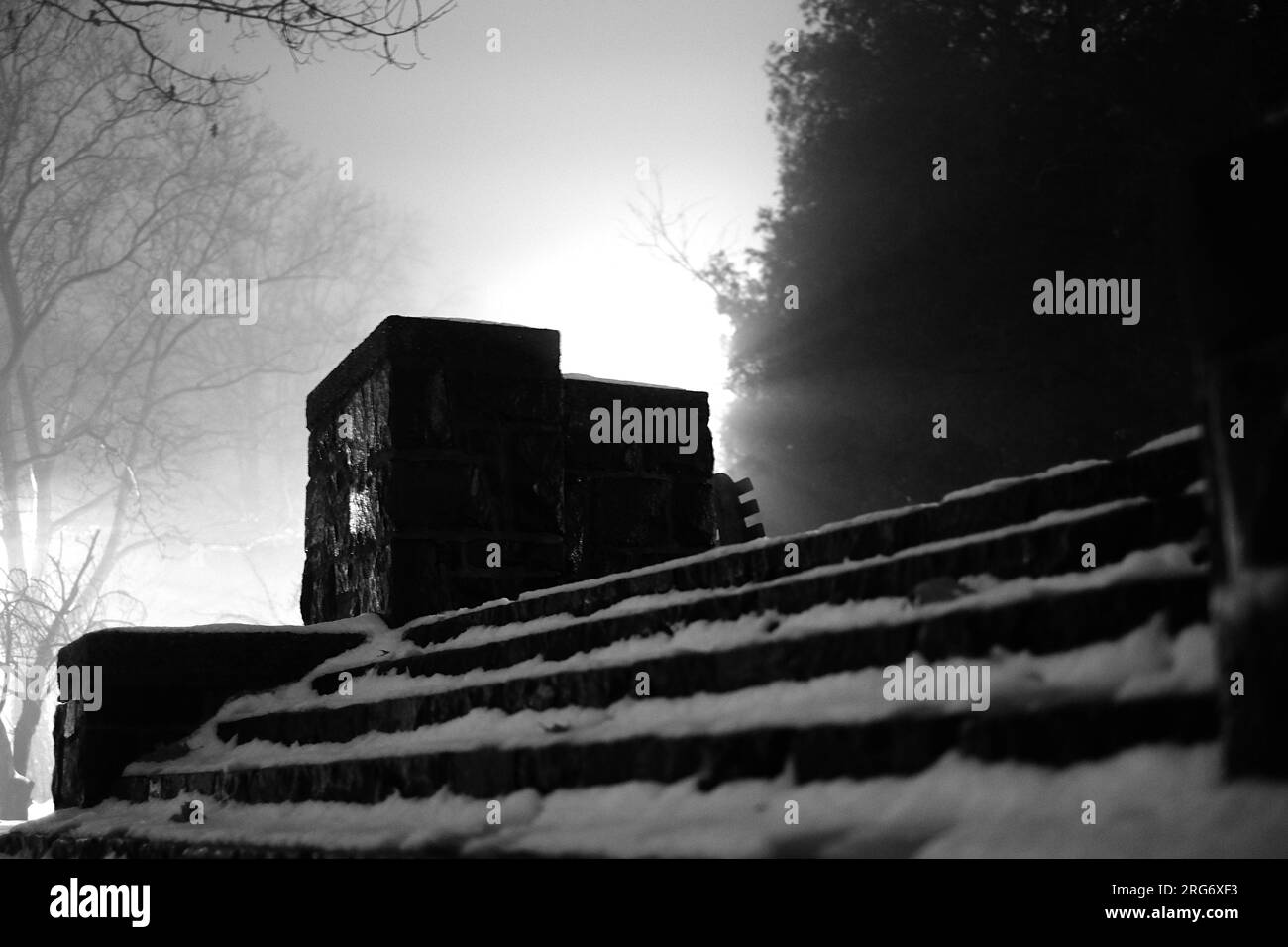 artsy intimate up-close look at nature life with sunrises and sunsets ...