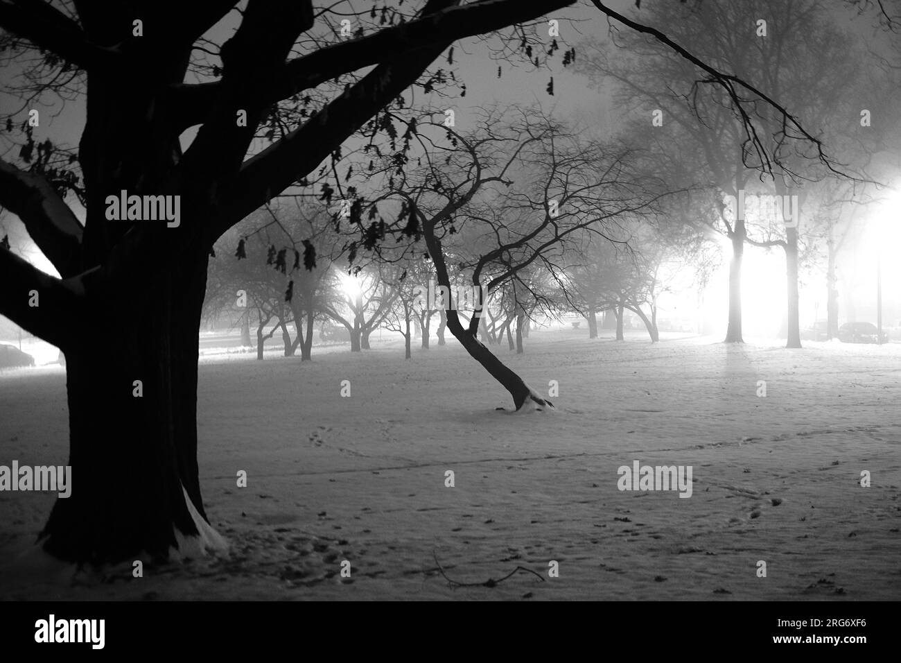 artsy intimate up-close look at nature life with sunrises and sunsets ...