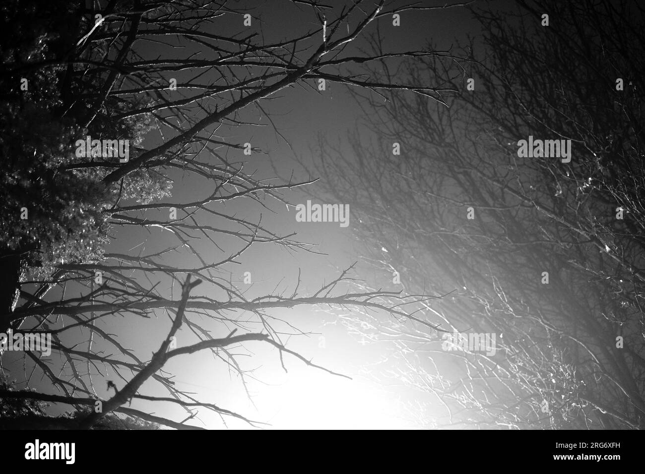 artsy intimate up-close look at nature life with sunrises and sunsets ...