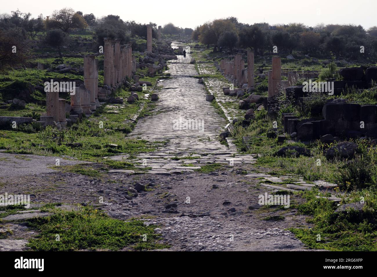 Irbid, Jordan : The main street in ancient Umm Qais city (old roman and ...