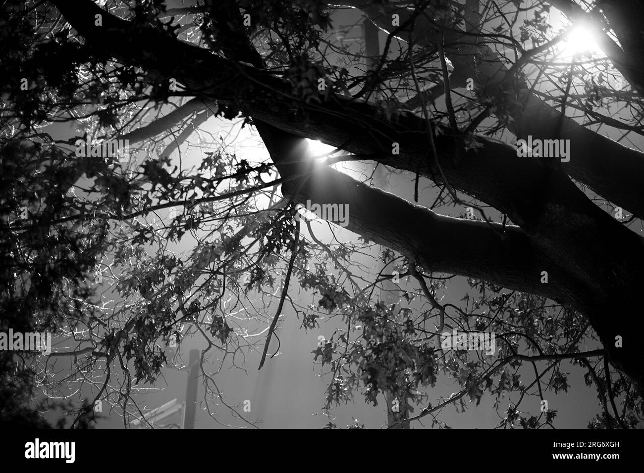 artsy intimate up-close look at nature life with sunrises and sunsets ...