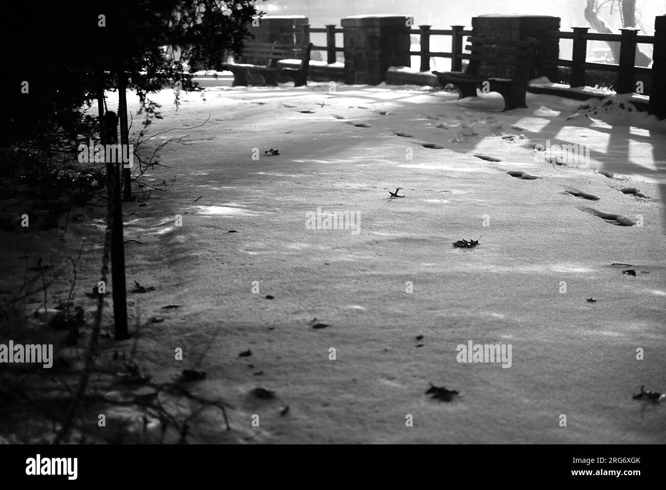 artsy intimate up-close look at nature life with sunrises and sunsets ...