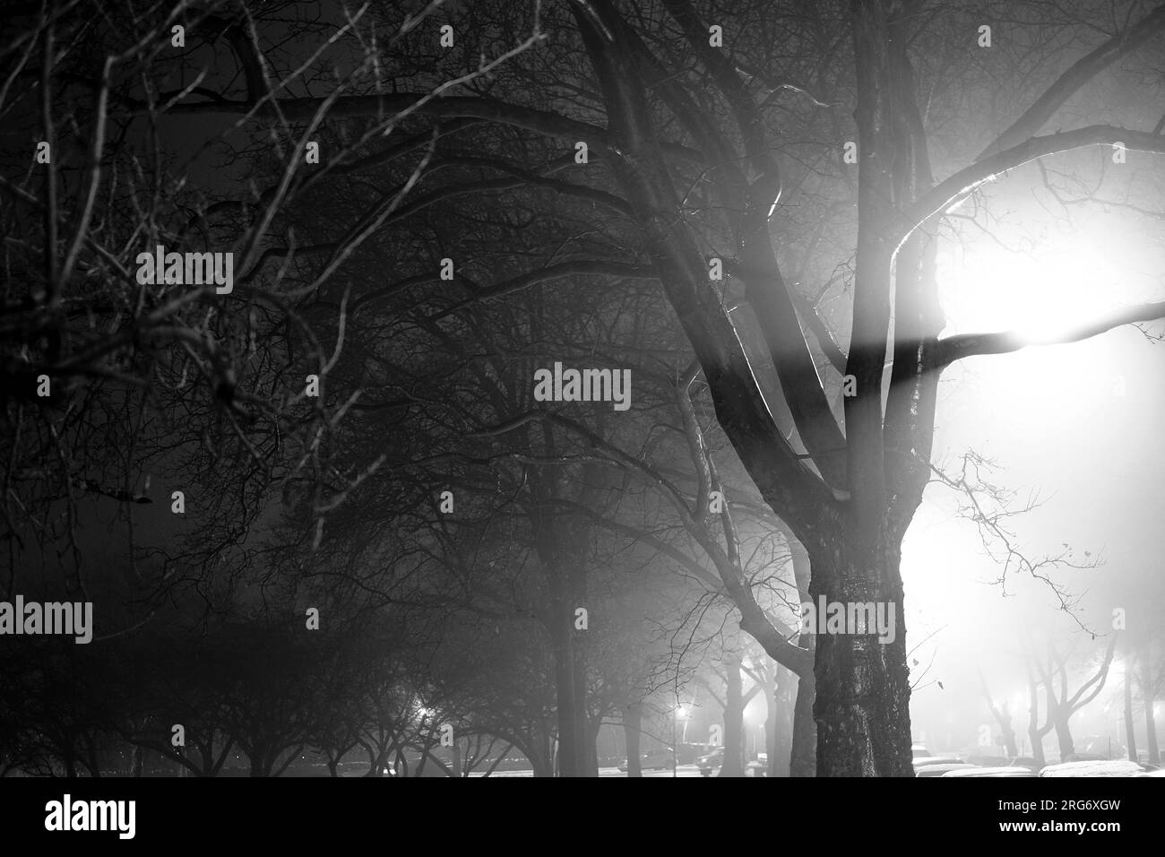 artsy intimate up-close look at nature life with sunrises and sunsets ...