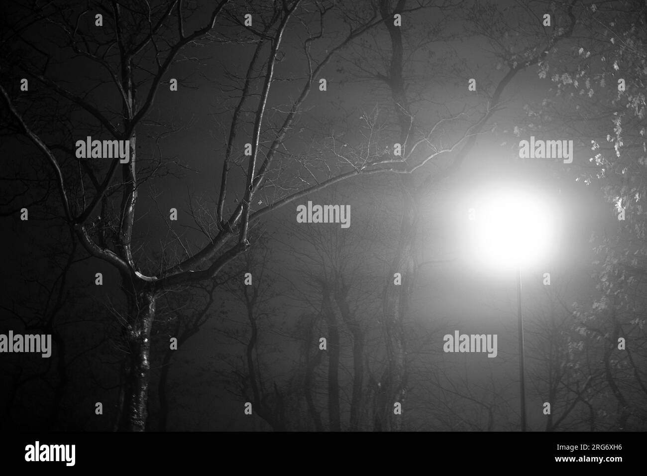 artsy intimate up-close look at nature life with sunrises and sunsets ...