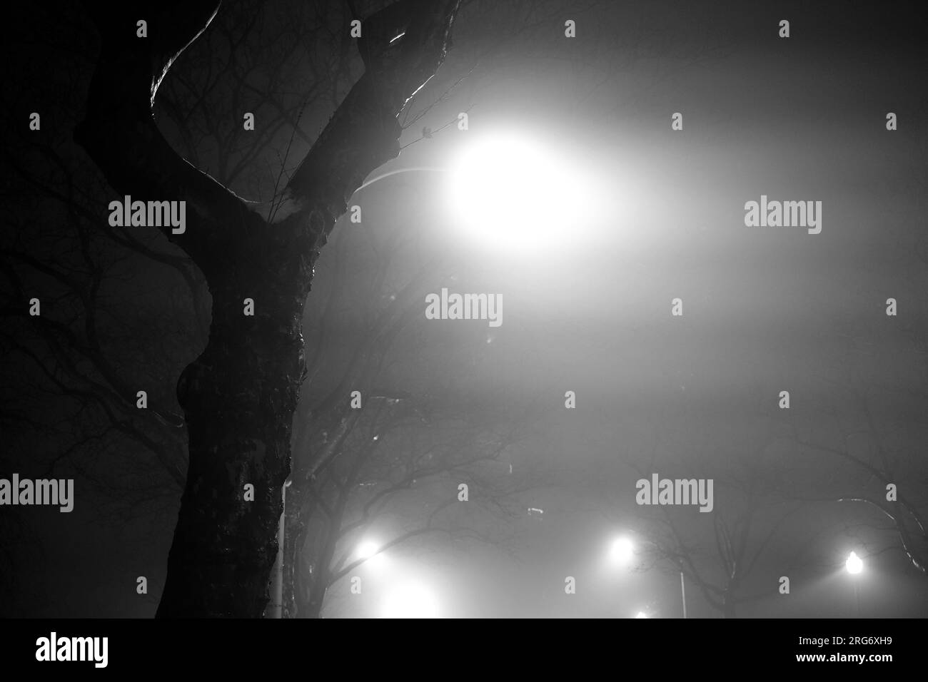 artsy intimate up-close look at nature life with sunrises and sunsets ...