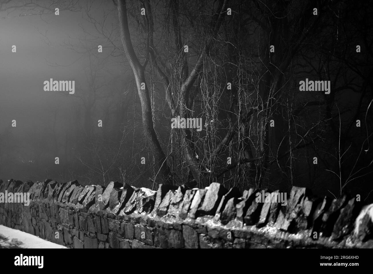 artsy intimate up-close look at nature life with sunrises and sunsets ...