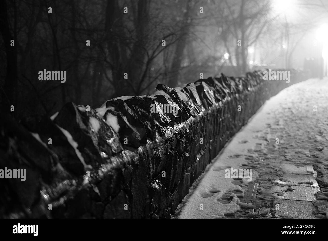 artsy intimate up-close look at nature life with sunrises and sunsets ...