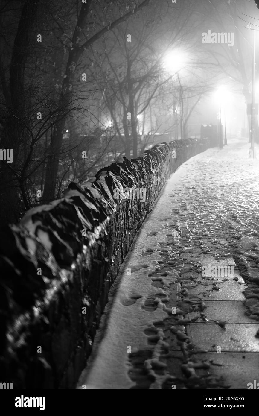 Snowy Park Night Setting