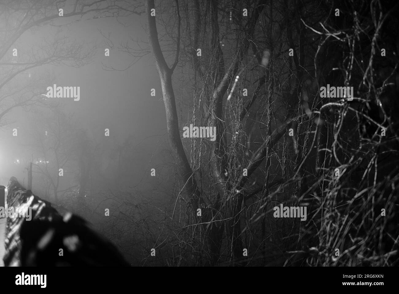 artsy intimate up-close look at nature life with sunrises and sunsets ...