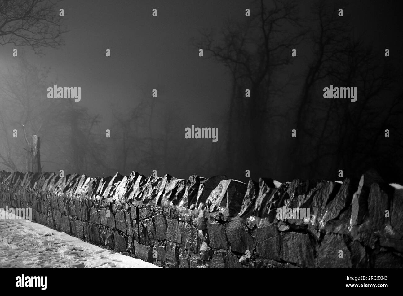 artsy intimate up-close look at nature life with sunrises and sunsets ...