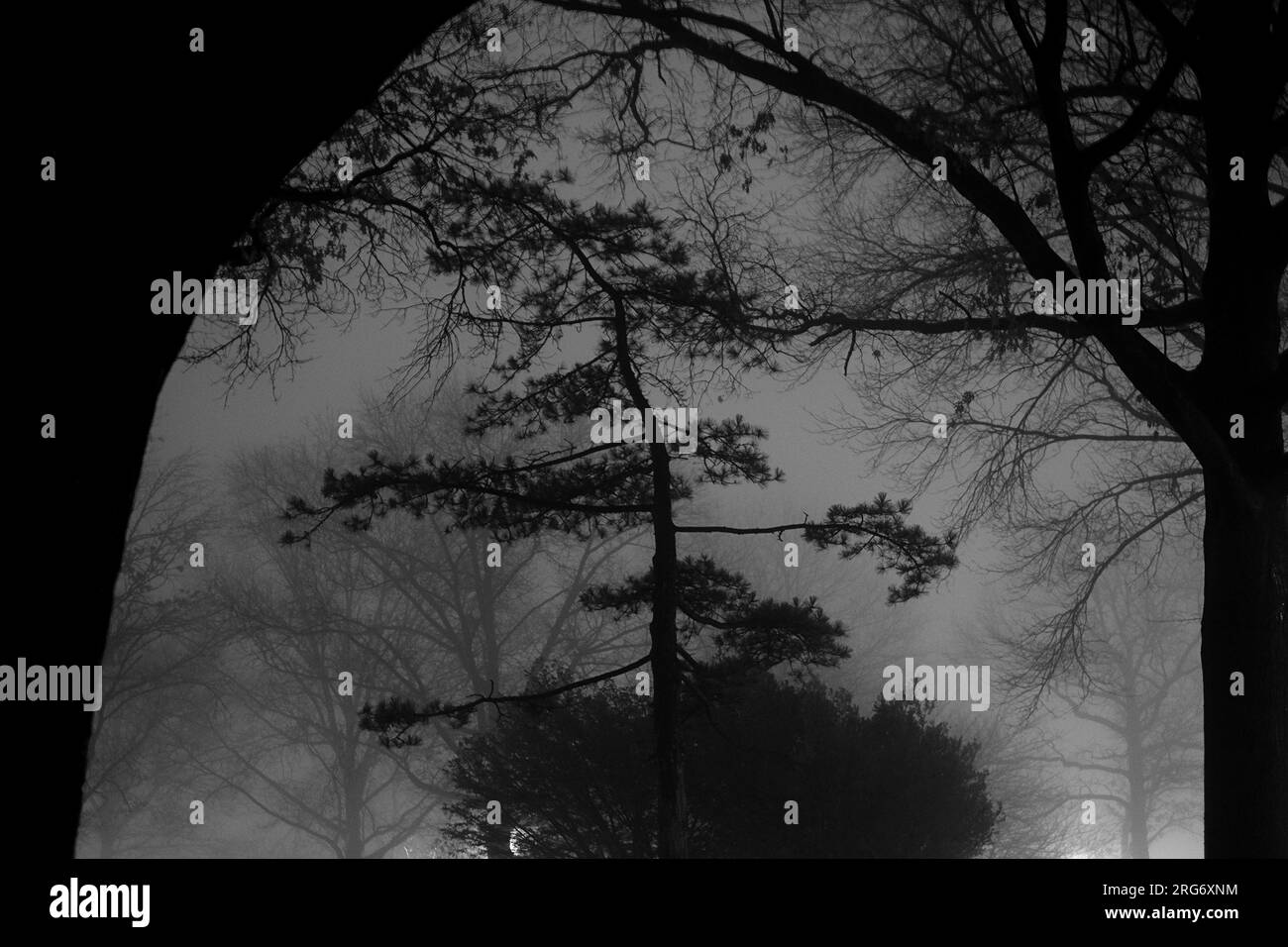 artsy intimate up-close look at nature life with sunrises and sunsets ...