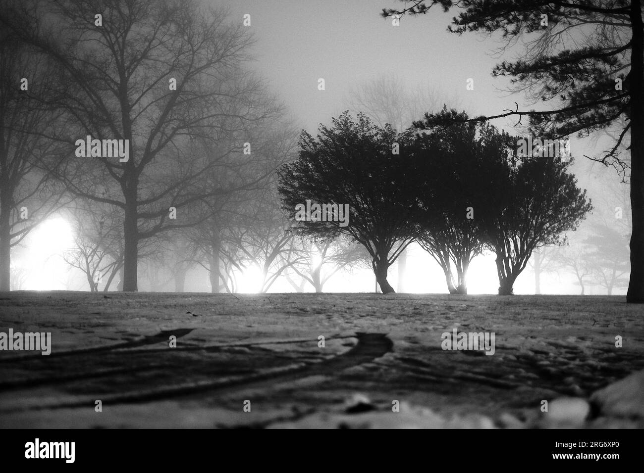 artsy intimate up-close look at nature life with sunrises and sunsets ...