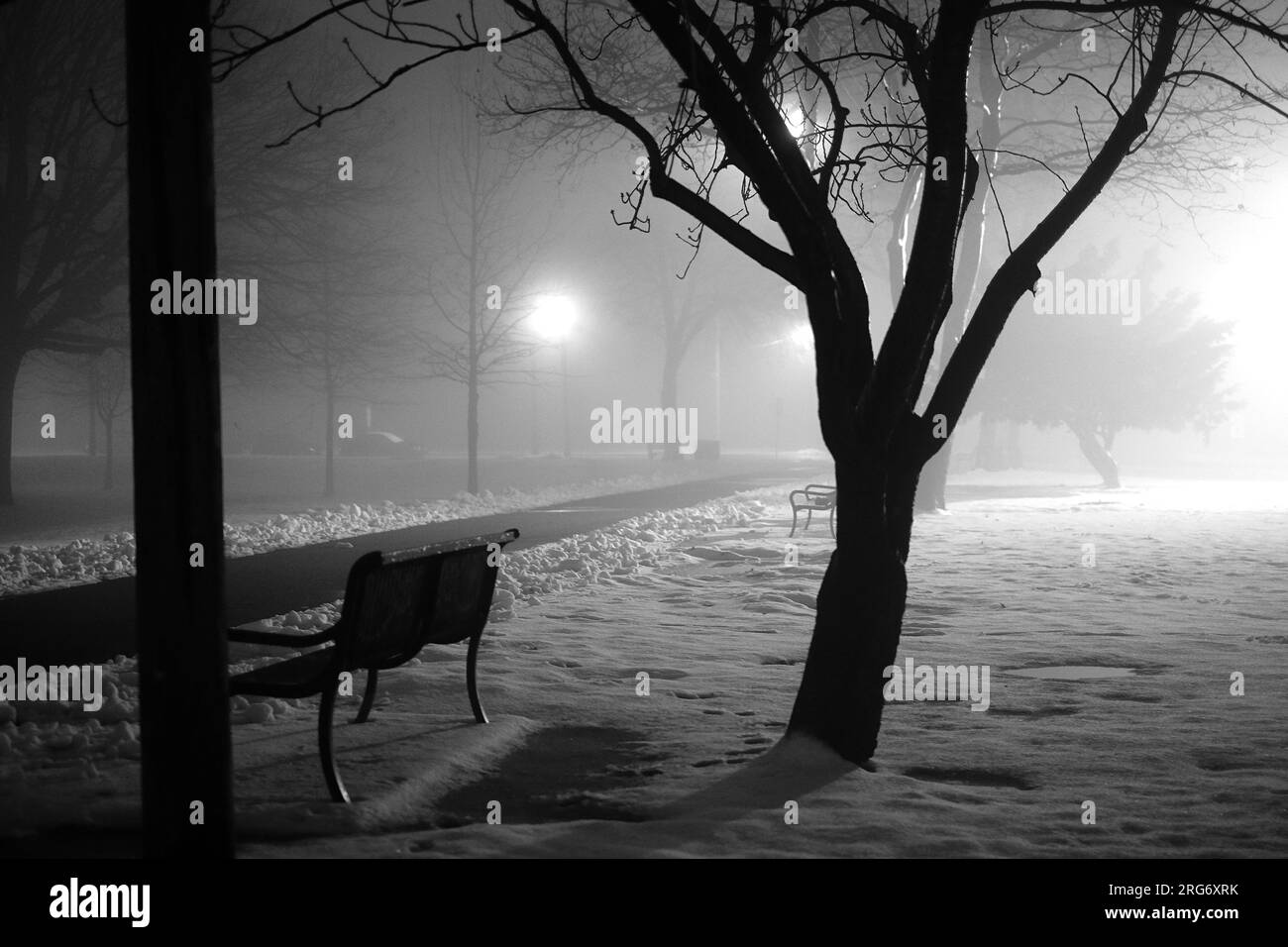 artsy intimate up-close look at nature life with sunrises and sunsets ...