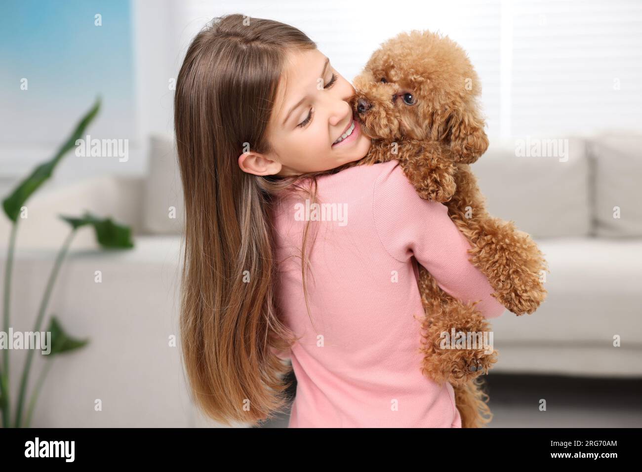 Little child with cute puppy at home. Lovely pet Stock Photo - Alamy