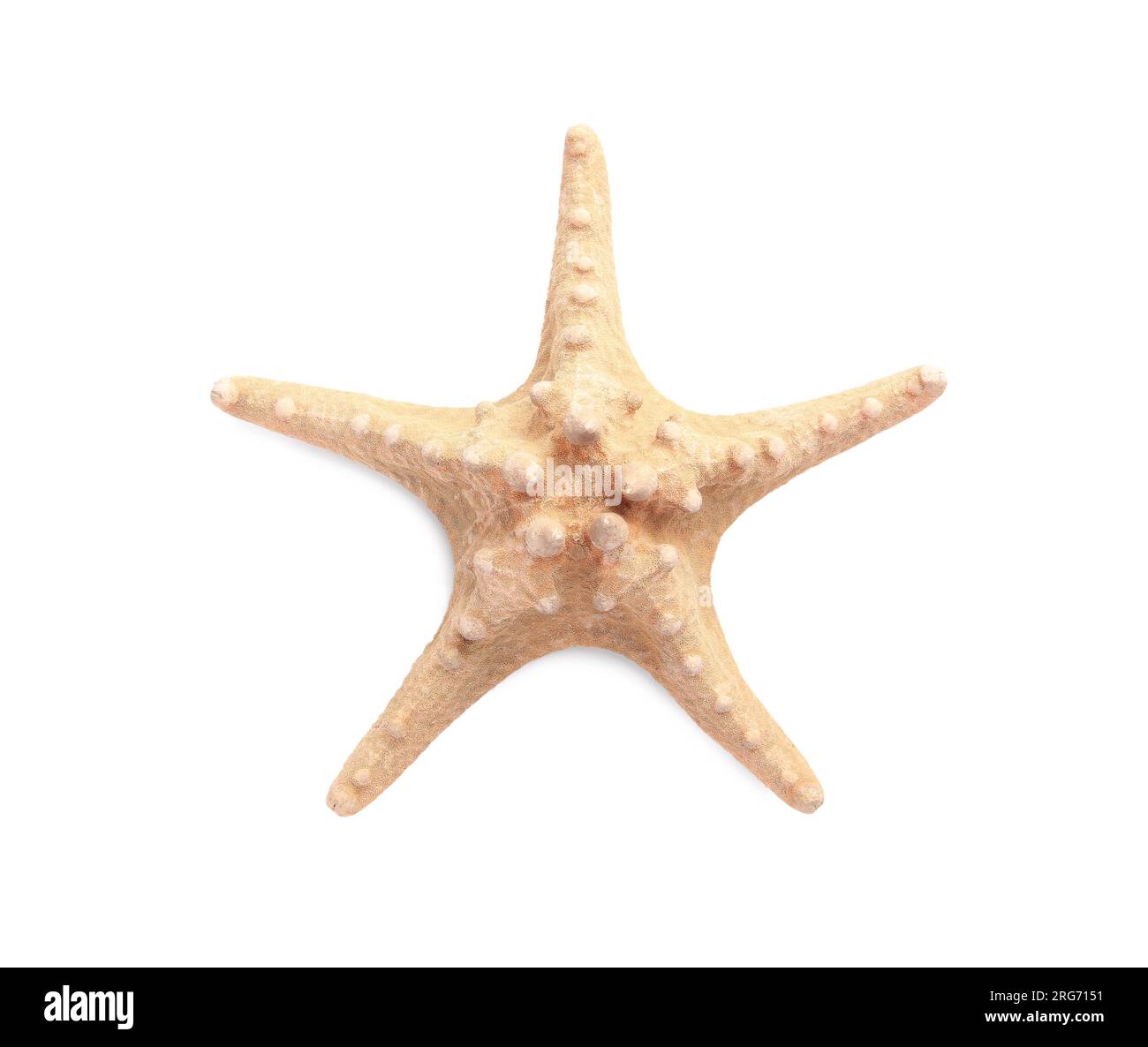Underwater view beautiful tropical reef Cut Out Stock Images & Pictures ...