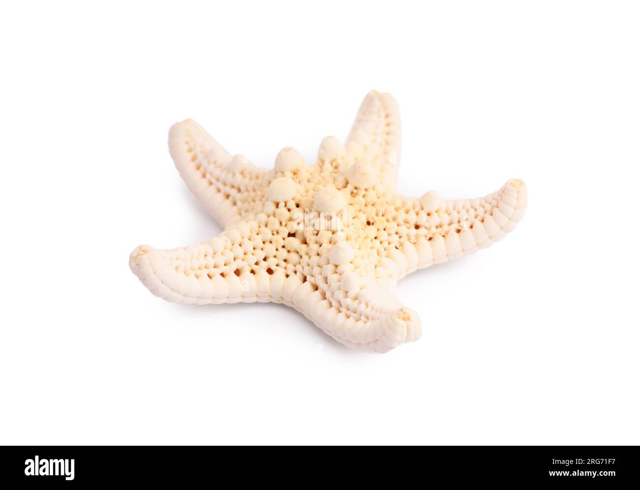 Beautiful sea star (starfish) isolated on white Stock Photo - Alamy