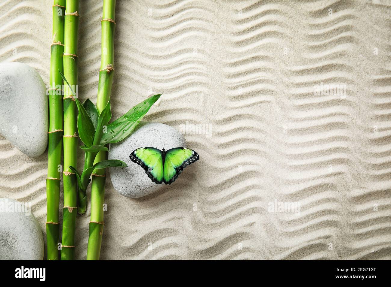 Harmony and peace. Butterfly in zen garden, bamboo branches and stones ...