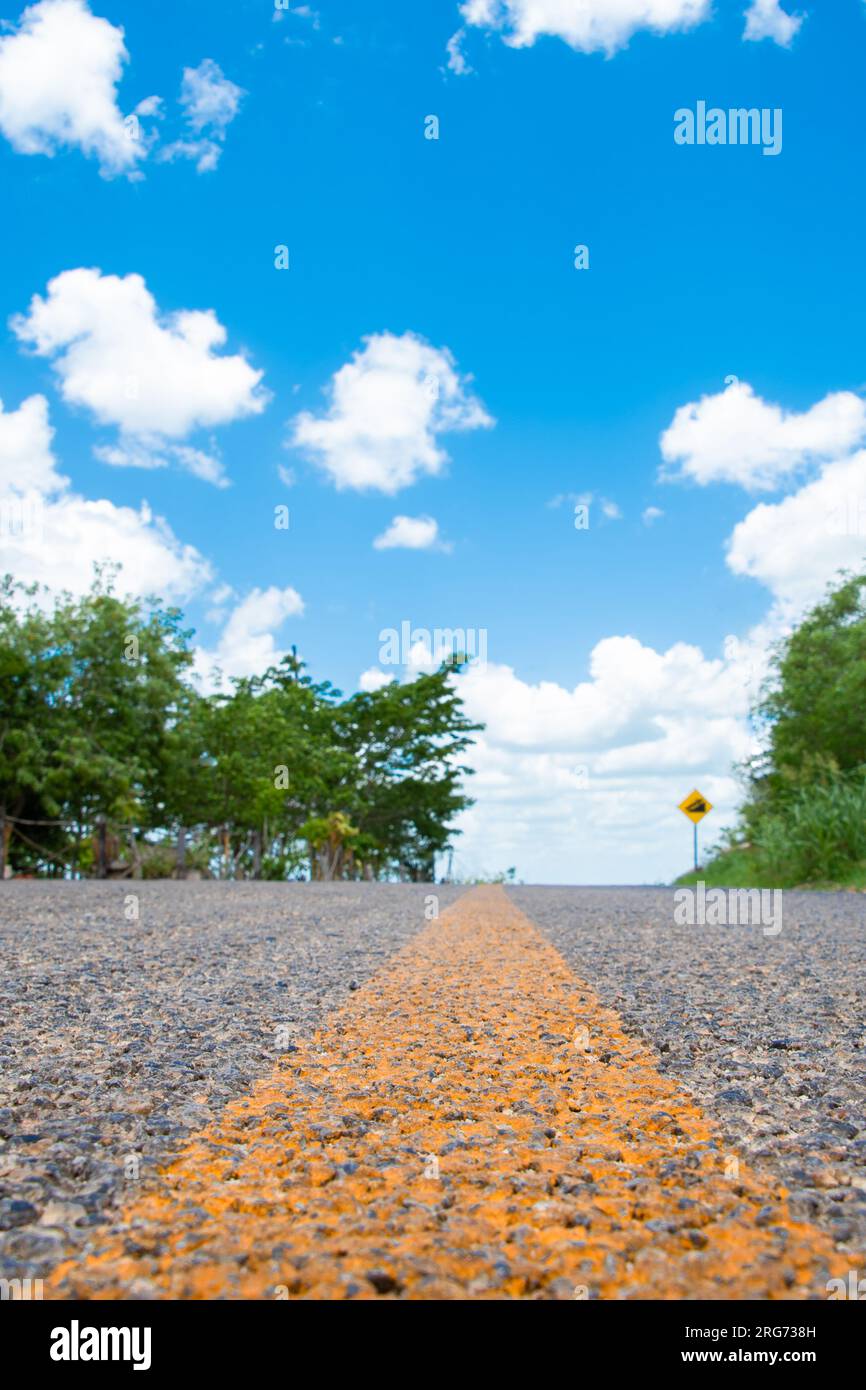 Tarmac road surrounded trees hi-res stock photography and images - Alamy