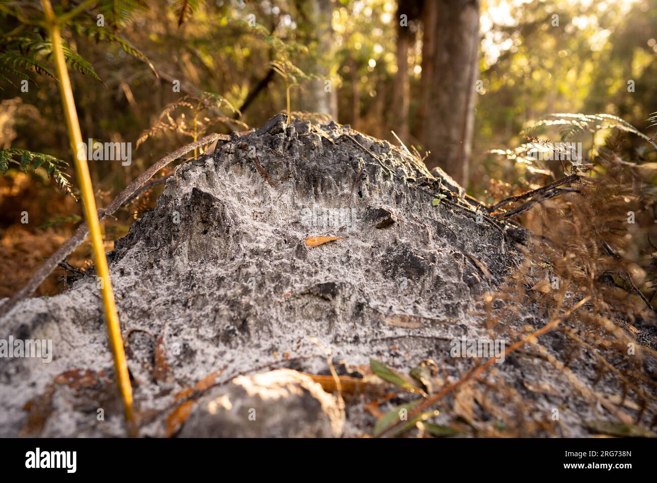 Pile of earth spade garden hi-res stock photography and images - Alamy