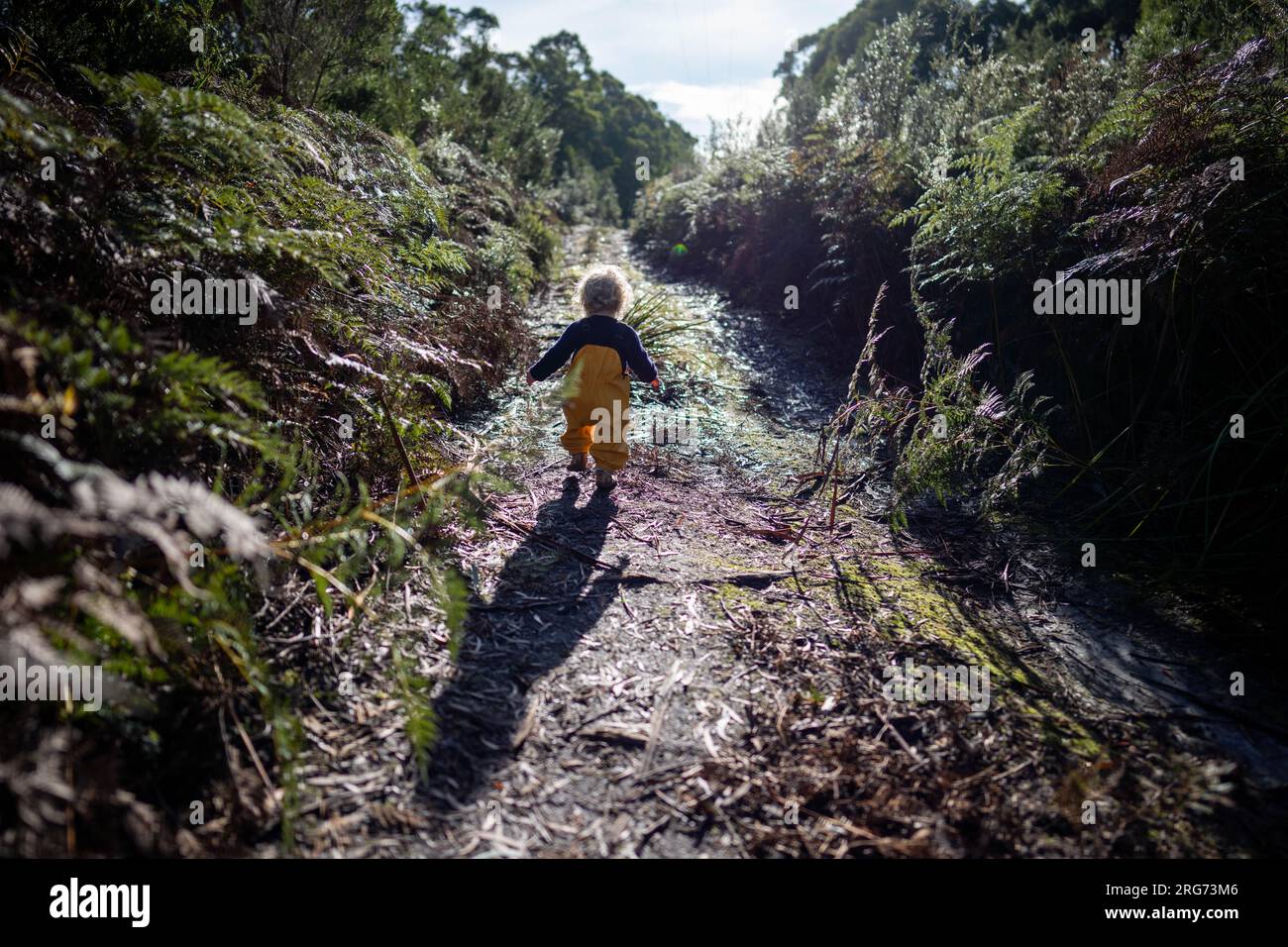toddler exploring in yellow overalls in the forest in winter Stock ...