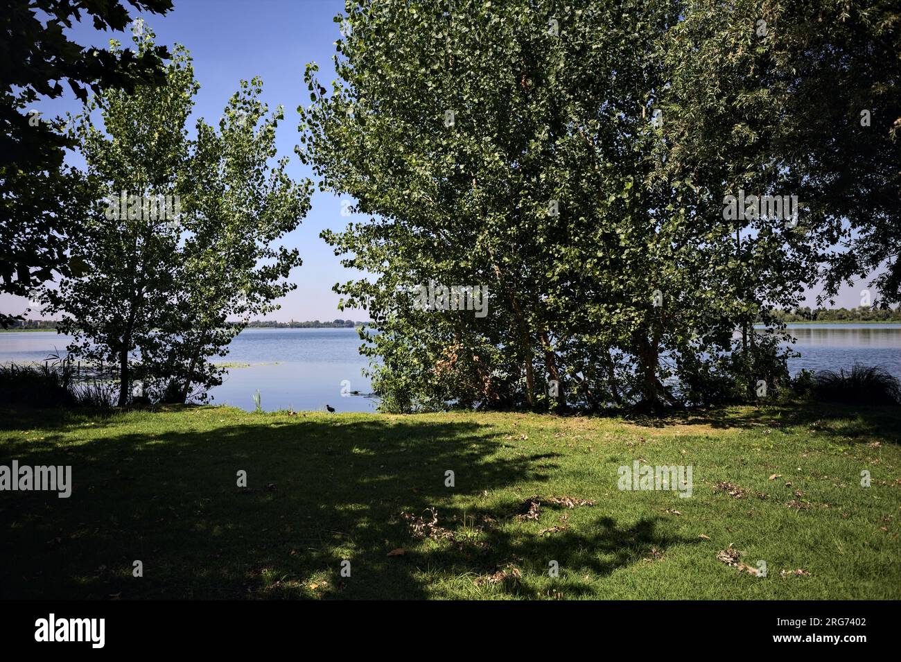 Trees on opposite shore hi-res stock photography and images - Alamy