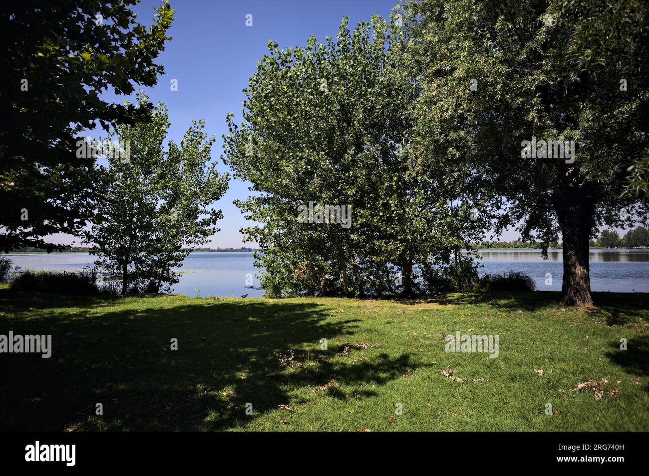 Trees on opposite shore hi-res stock photography and images - Alamy