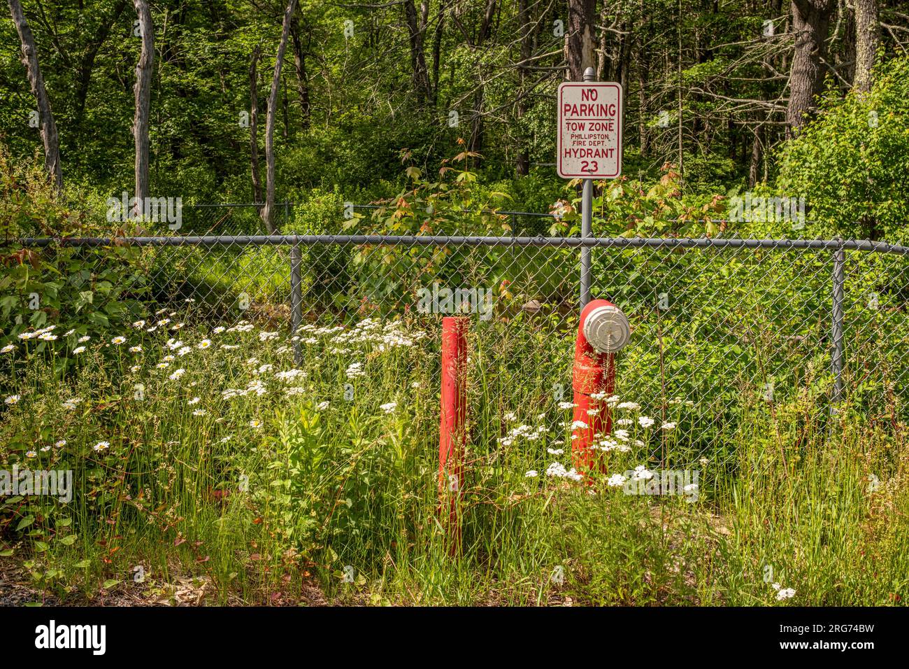 A rural fire hydrant in Phillipston, MA Stock Photo - Alamy