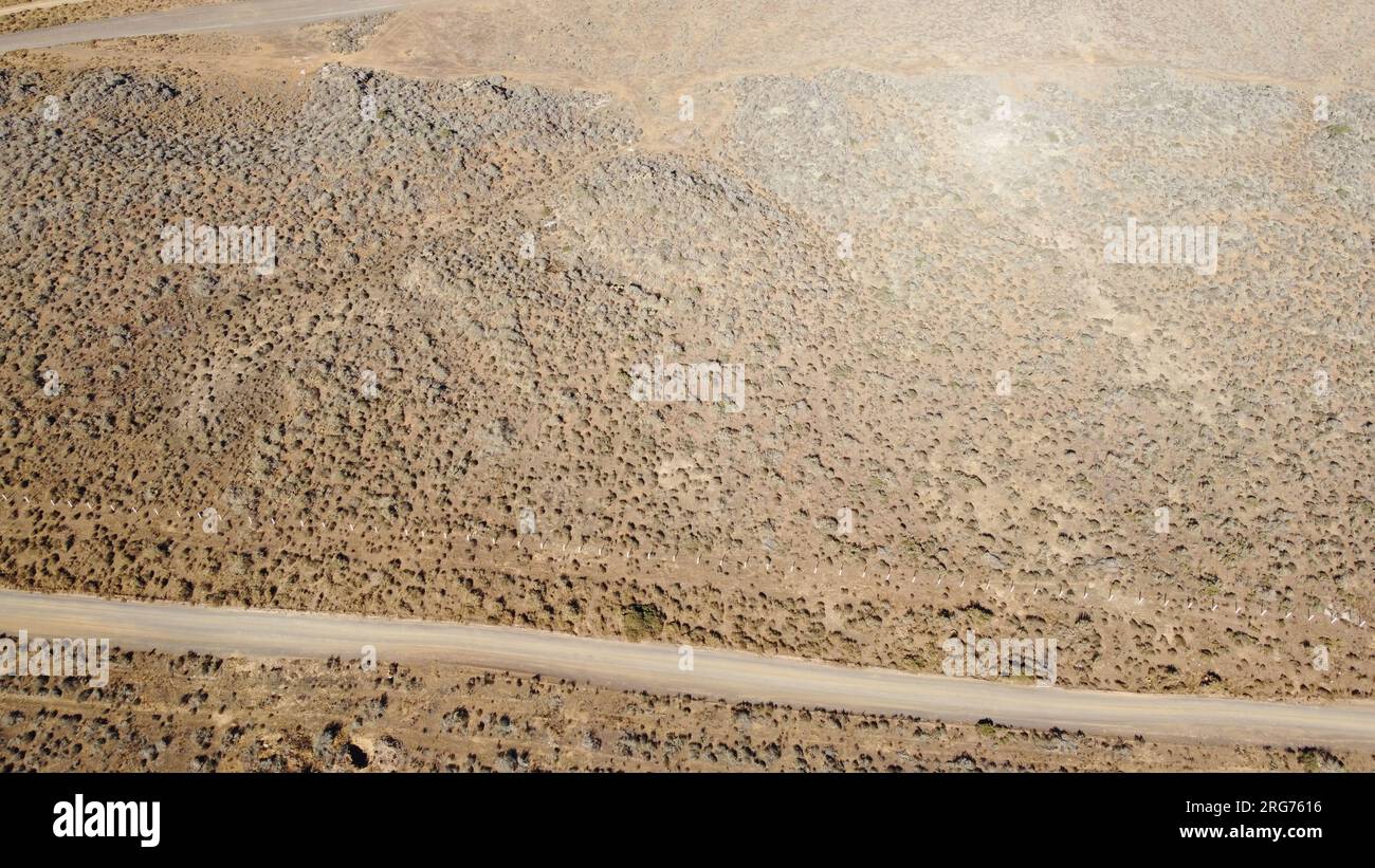 PHOTOGRAPHY WITH DRONE OF THE WETLANDS AND THE VOLCANO DE CENIZA IN SAN ...