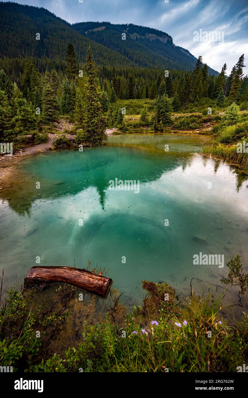 Glistening Ink Pots, Verdant meadows and vibrant pools unite under ...