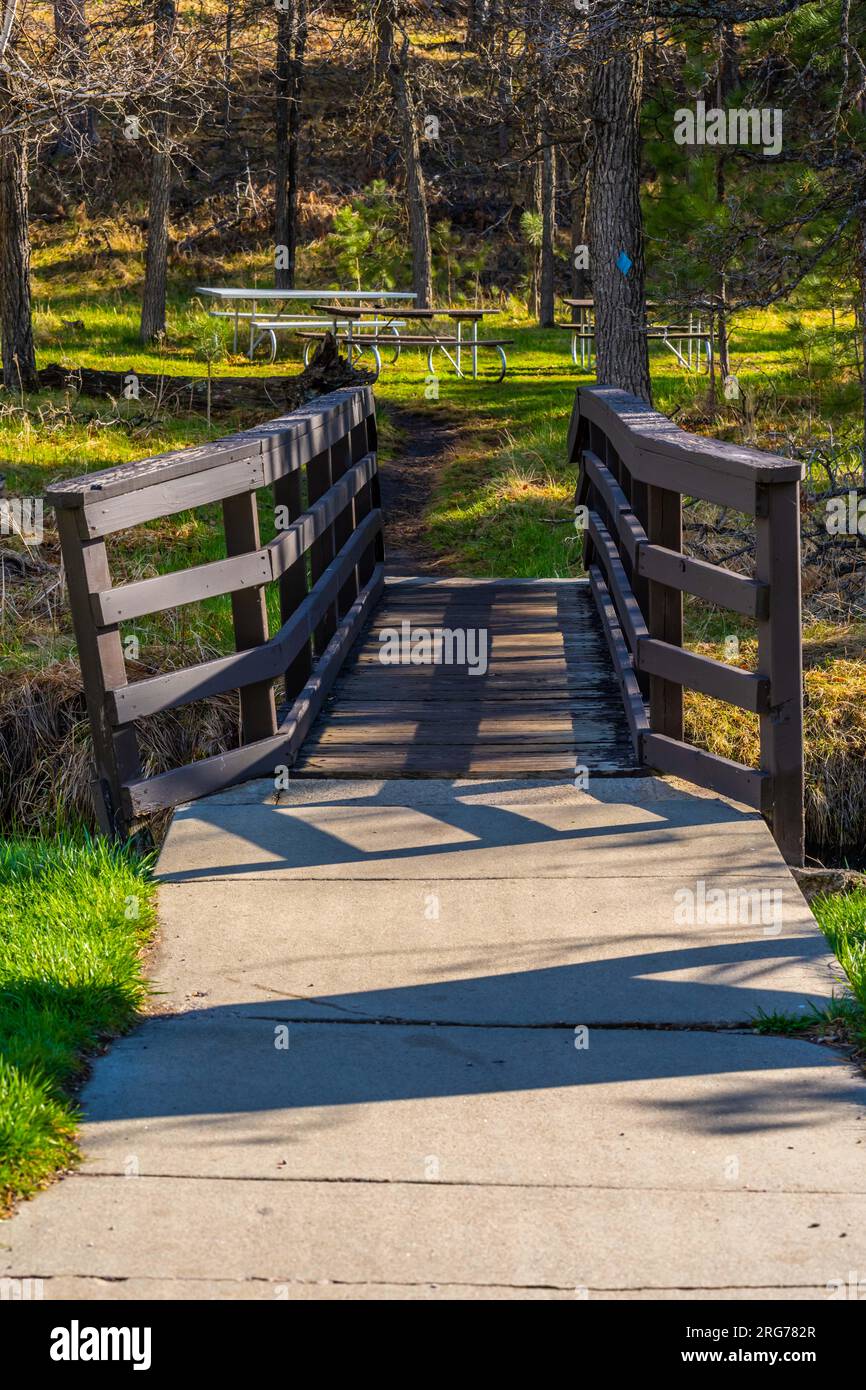 The legion Lake in Custer State Park, South Dakota Stock Photo - Alamy