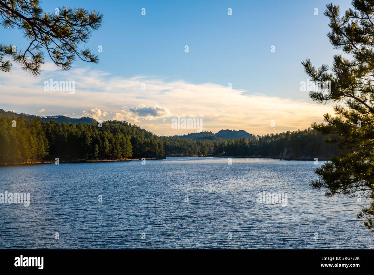 The legion Lake in Custer State Park, South Dakota Stock Photo - Alamy