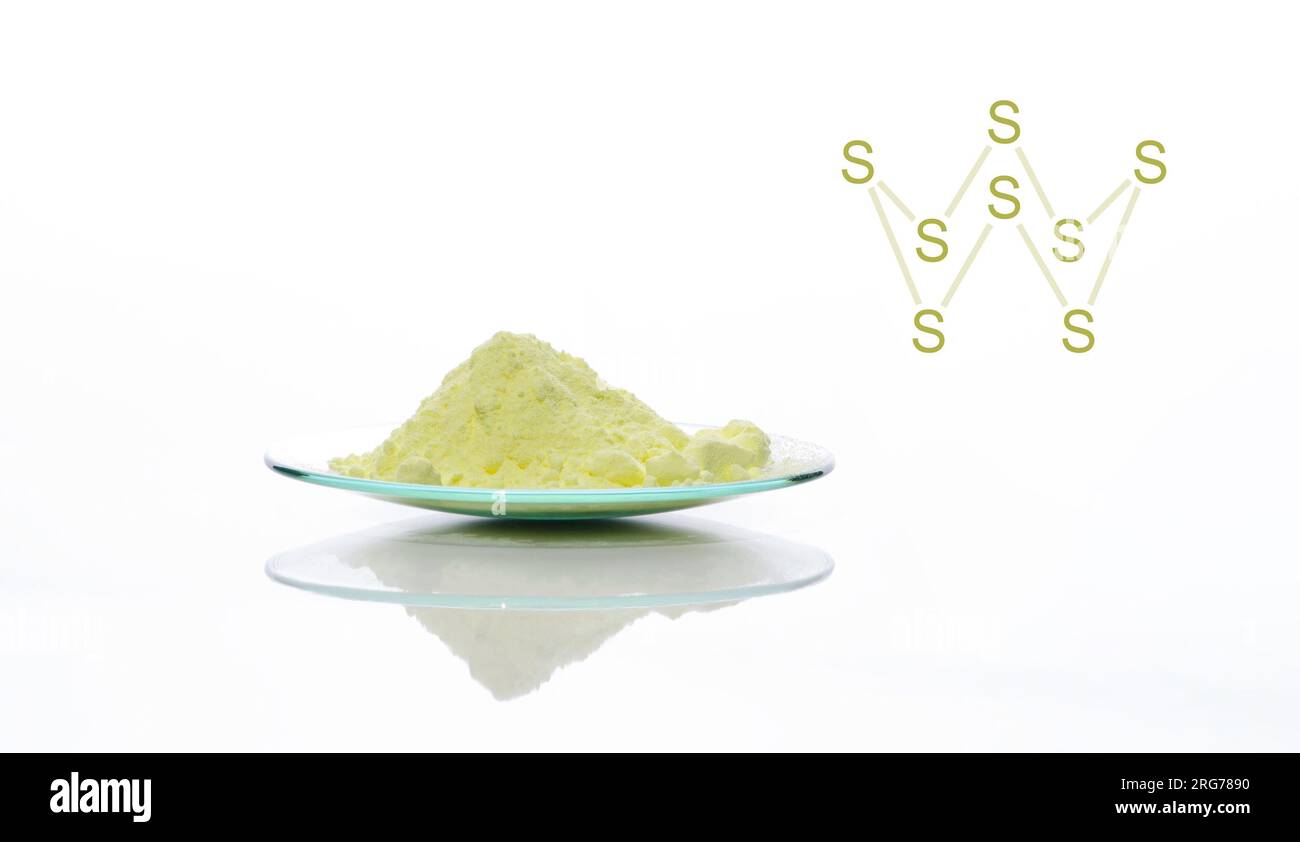 Sulfur Powder in Chemical Watch Glass with molecular structure Stock ...