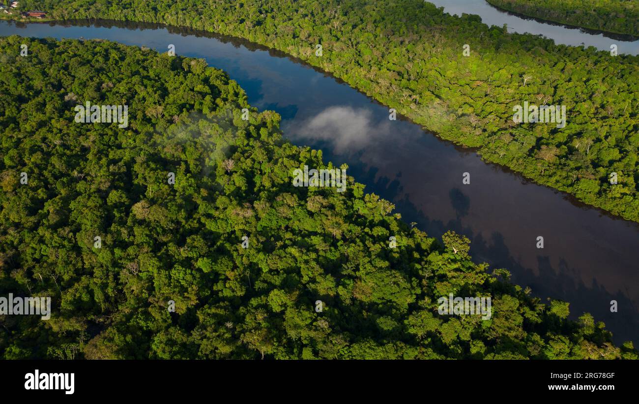 AMAZON RIVERS, SURROUNDED BY DENSE JUNGLE, THE MEANDERS ARE OBSERVED ...