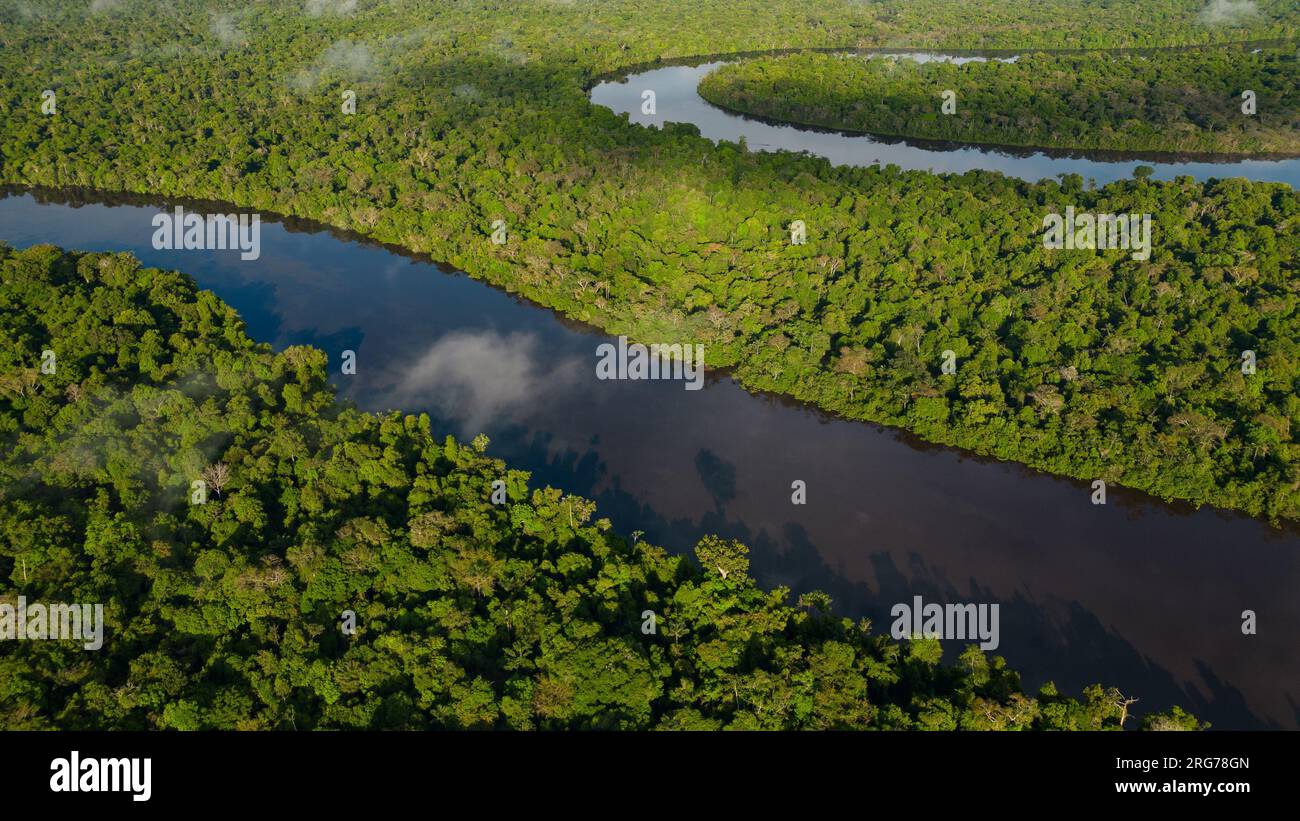 AMAZON RIVERS, SURROUNDED BY DENSE JUNGLE, THE MEANDERS ARE OBSERVED ...