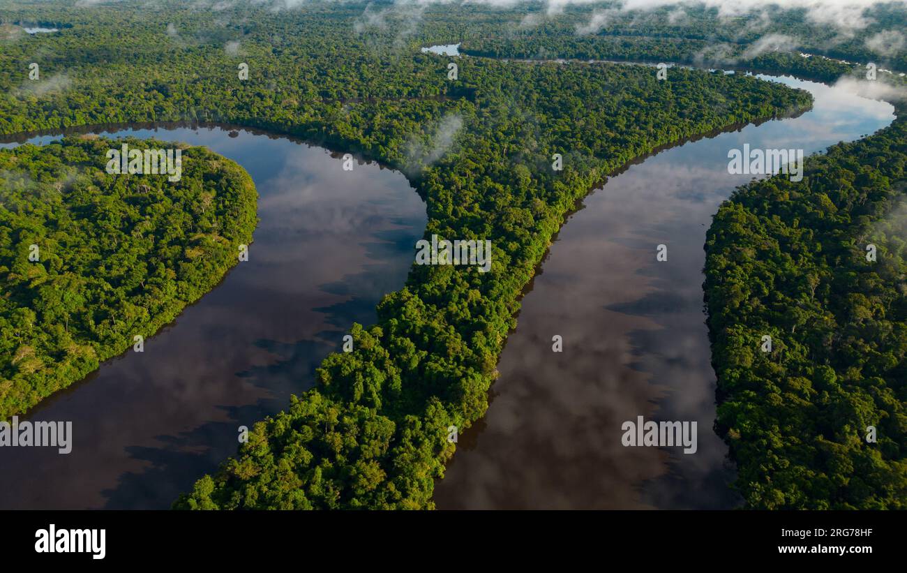 AMAZON RIVERS, SURROUNDED BY DENSE JUNGLE, THE MEANDERS ARE OBSERVED ...