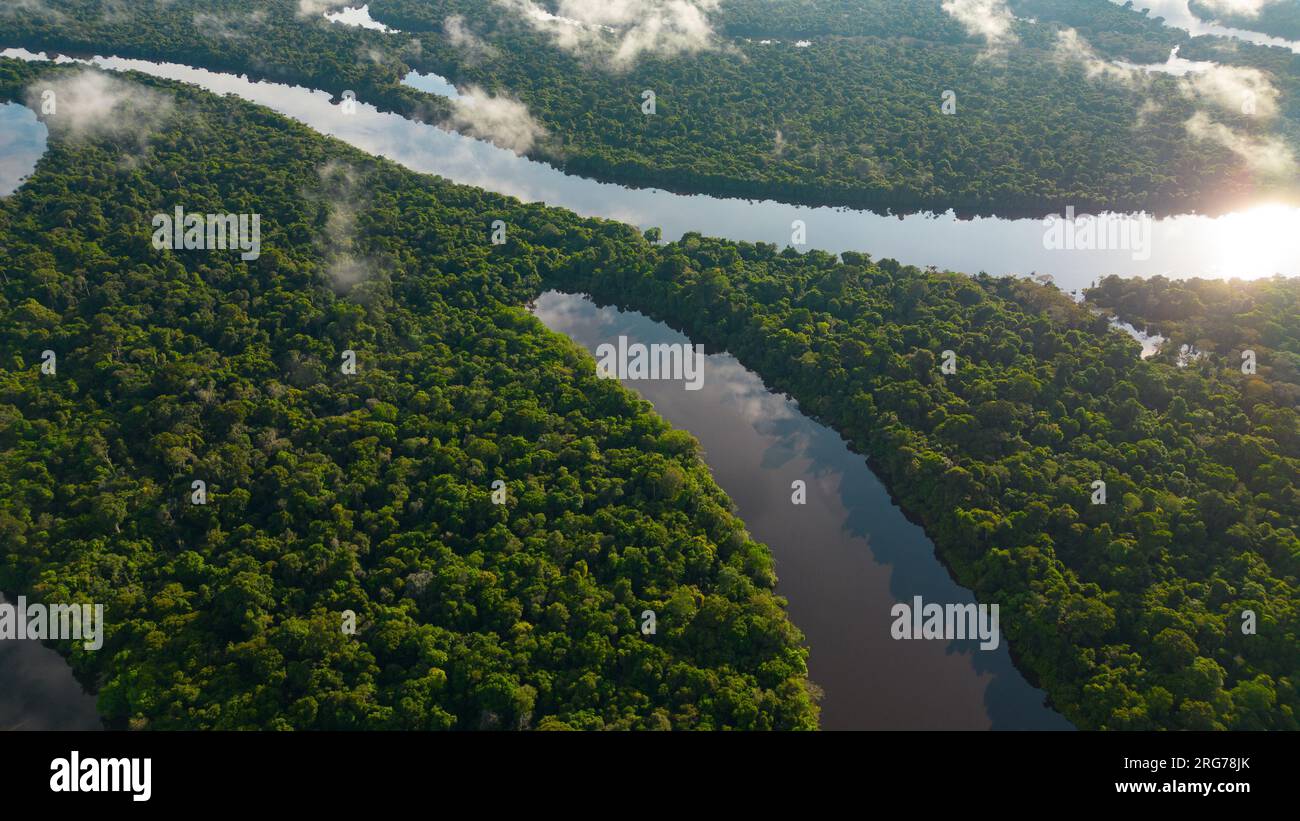 AMAZON RIVERS, SURROUNDED BY DENSE JUNGLE, THE MEANDERS ARE OBSERVED ...